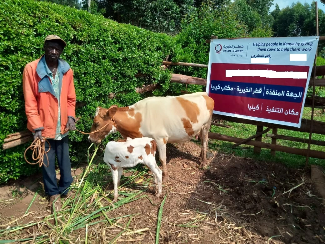 DAIRY COW PROJECT