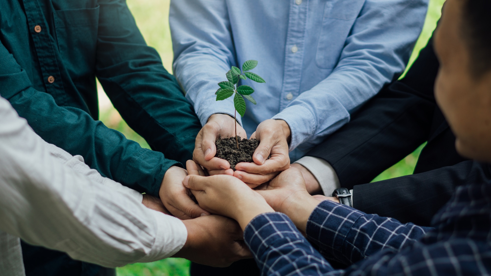 International Human Solidarity Day | Qatar Charity Blog