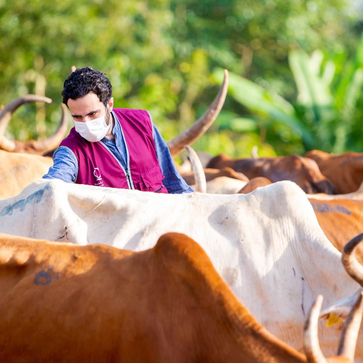 Home page - Qatar Charity Blog